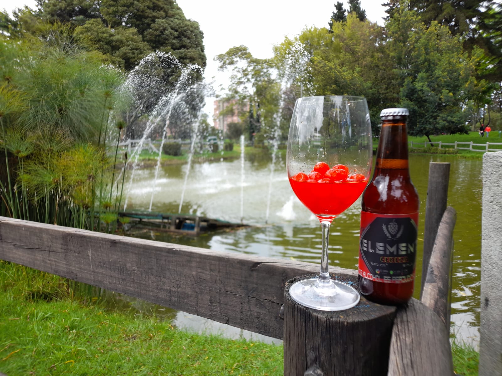 Cerveza Artesanal Element Cereza - Fondo de Empleados Lafayette